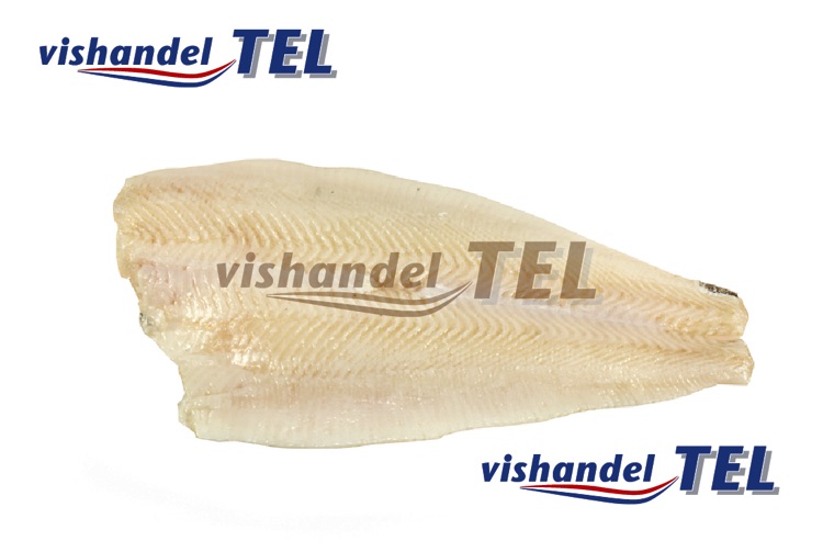 Vishandel Tel assortiment vers producten, filets en zoetwatervissen