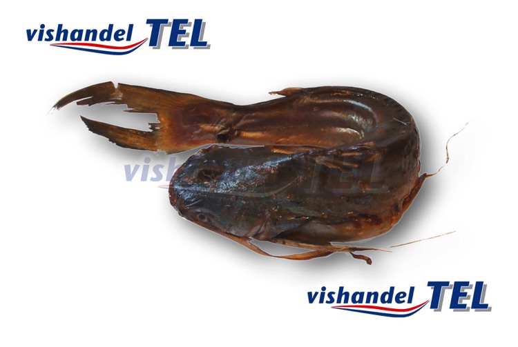 Vishandel Tel assortiment vers producten, gerookte vis