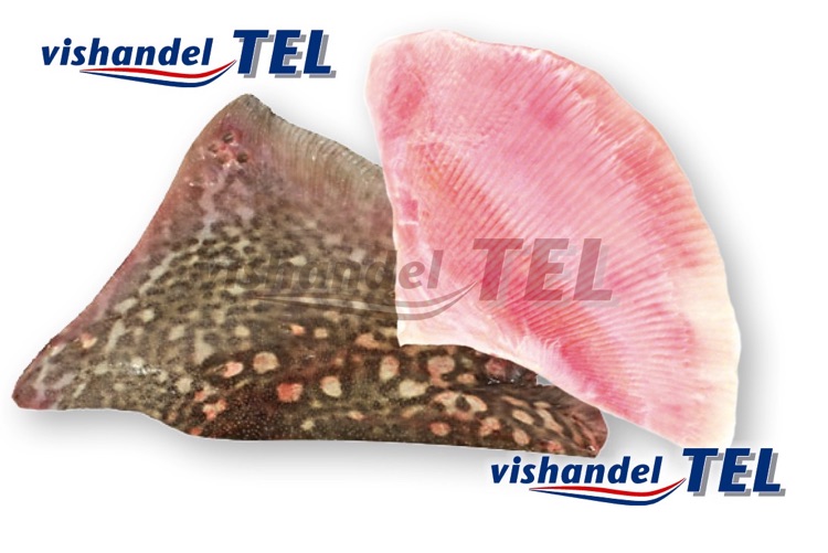 Vishandel Tel. Het assortiment vers producten, verse noordzeevis